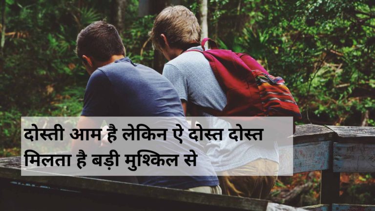 100+ Boy and Girl Friendship Shayari in Hindi | Shayari For Best Friend ...